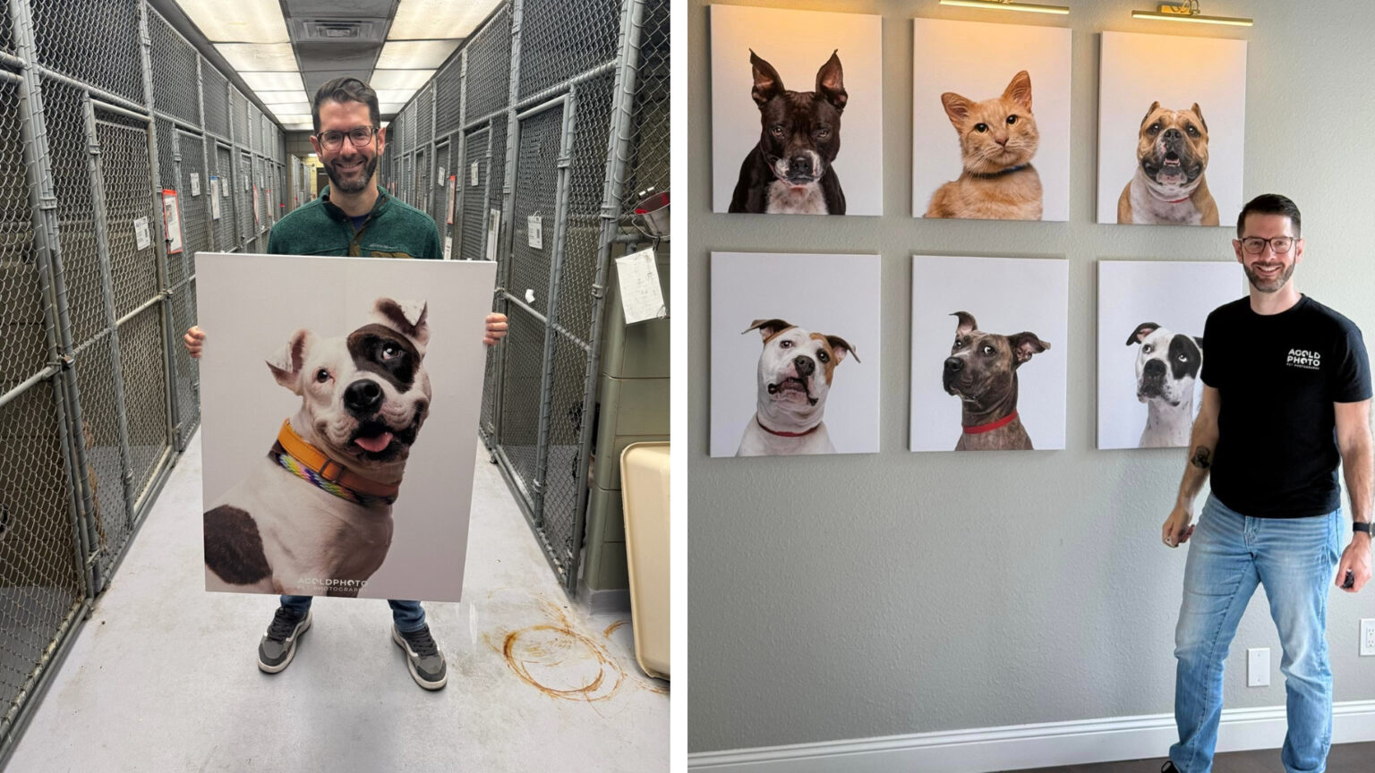 Tampa photographer helps hundreds of shelter dogs find homes—one ...